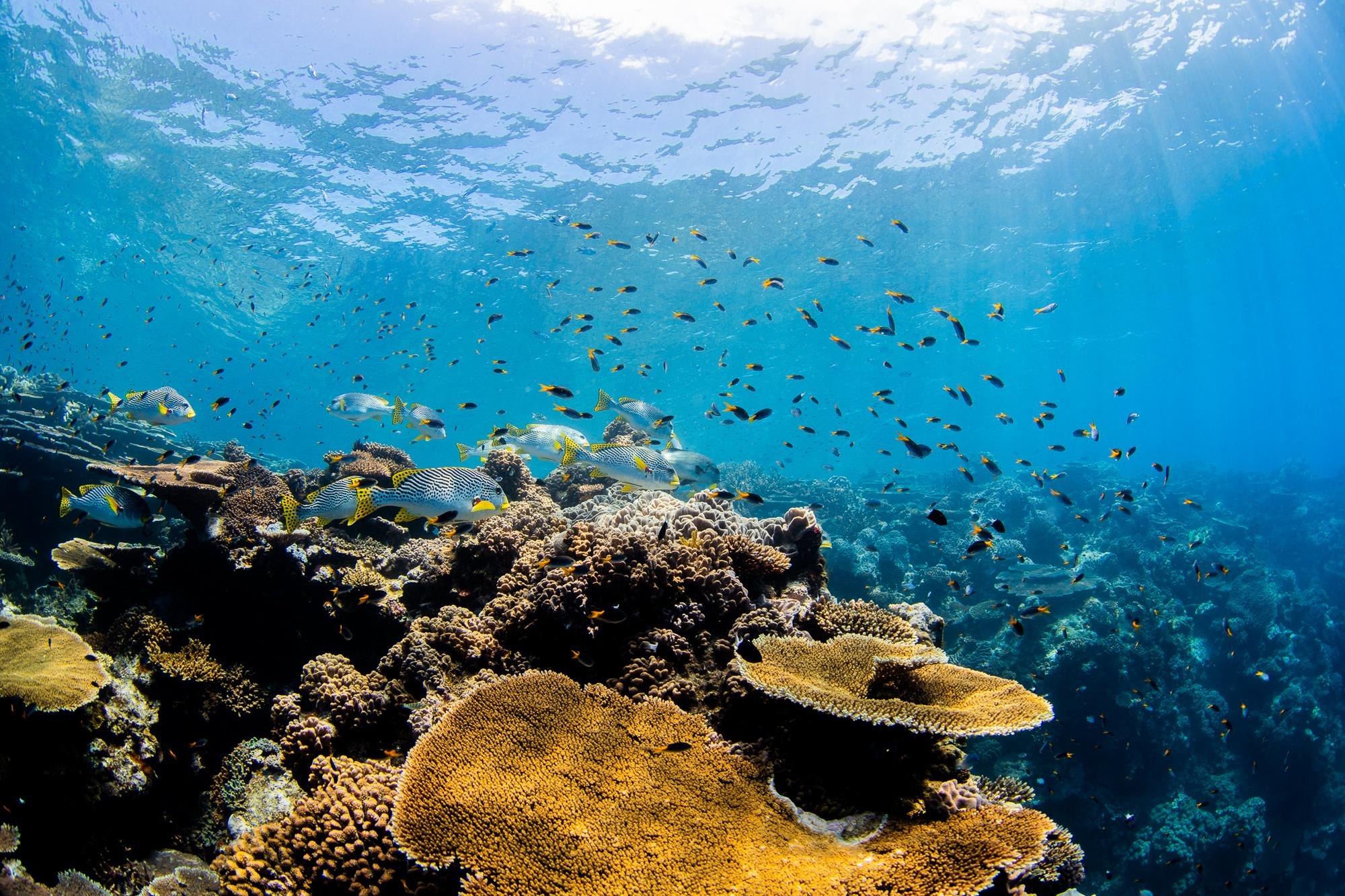 Our Impact - Cotton on Group